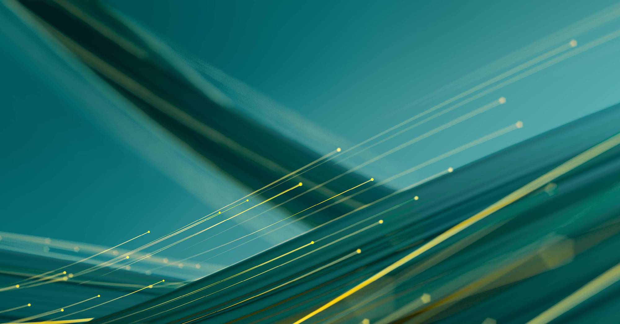 Digital solutions for your life and business - Green