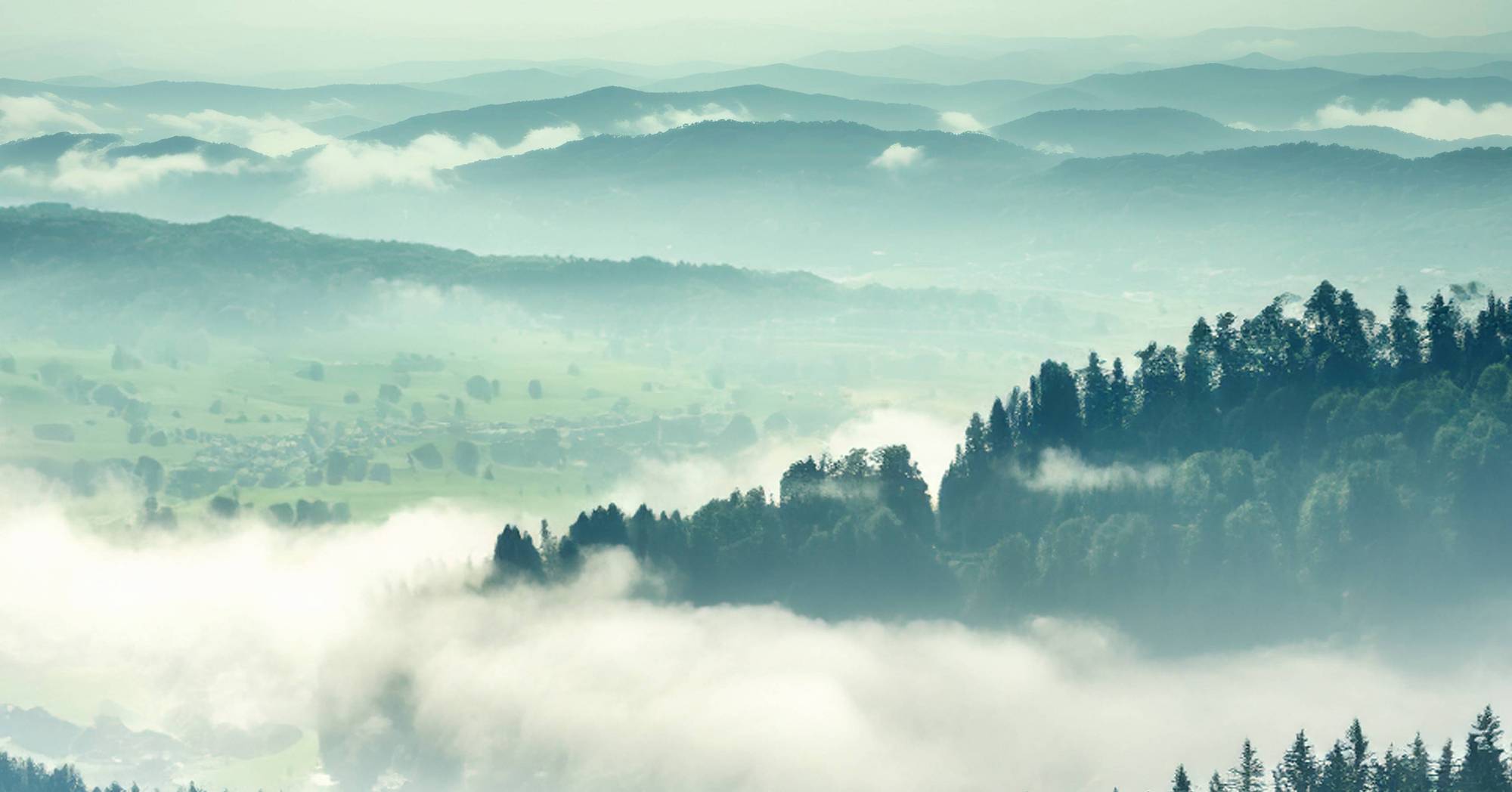So handeln wir für eine nachhaltige Zukunft - Green