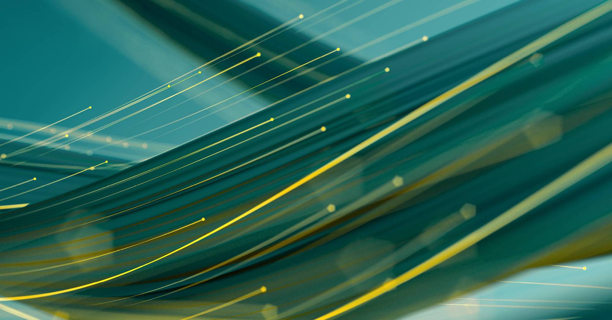 Meet our management – committed to the digital future - Green