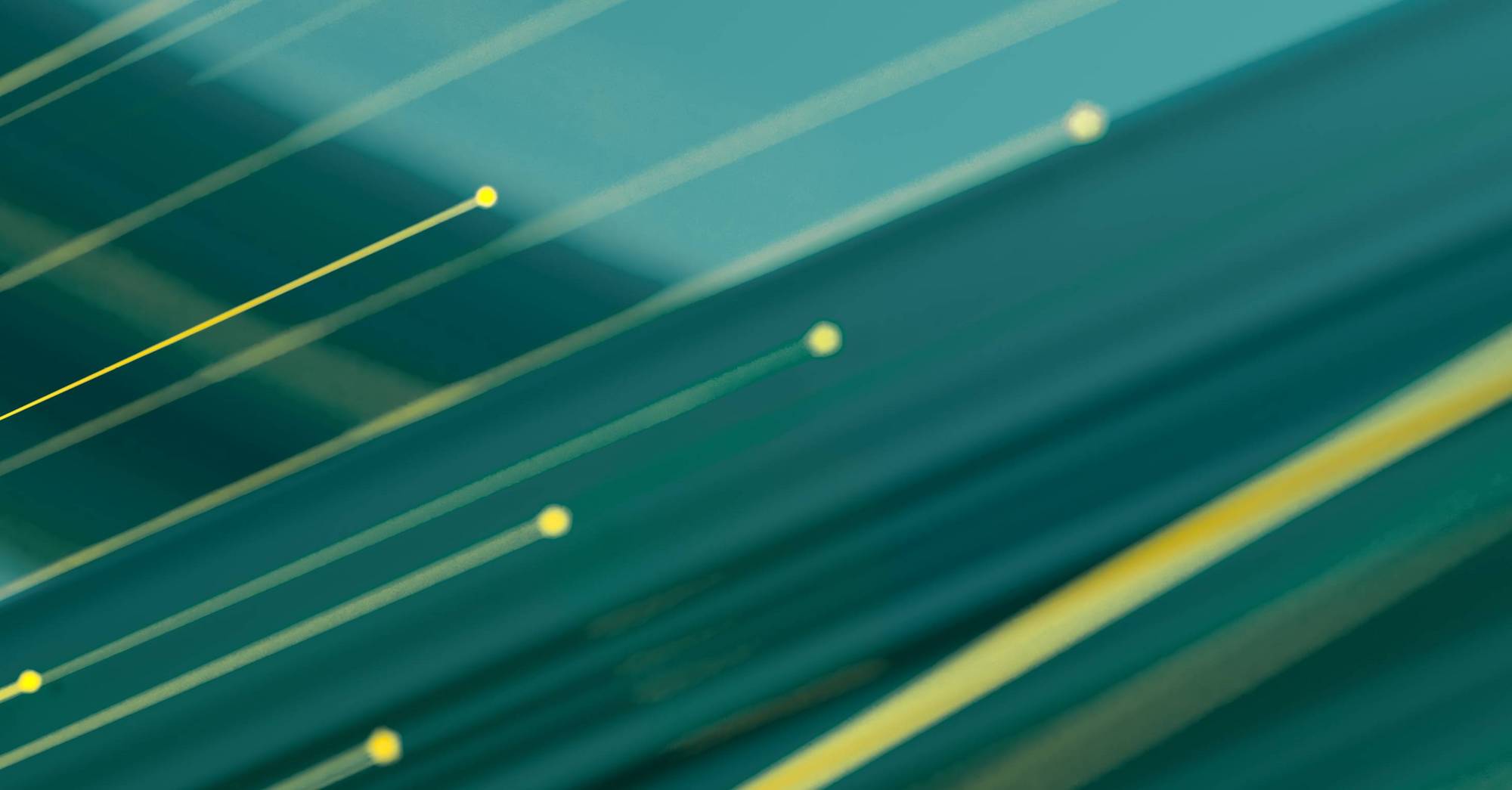 Social Commitment - Green